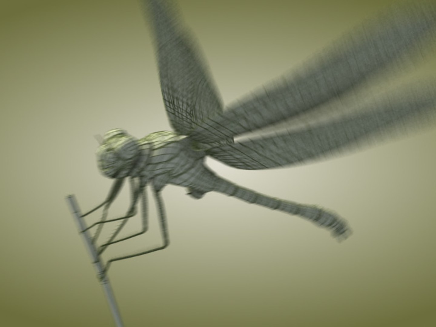 3d dragonfly wings