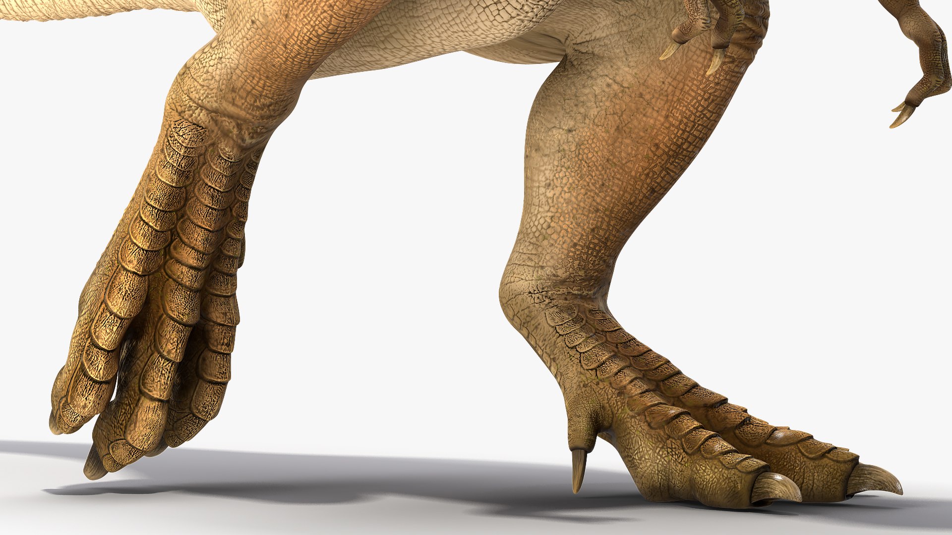 Tyrannosaurus Rex Running Animal 3D Model - TurboSquid 1566262