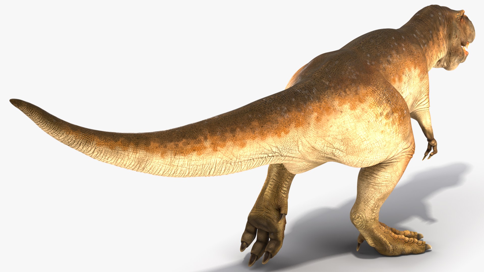 Tyrannosaurus Rex Running Animal 3D Model - TurboSquid 1566262