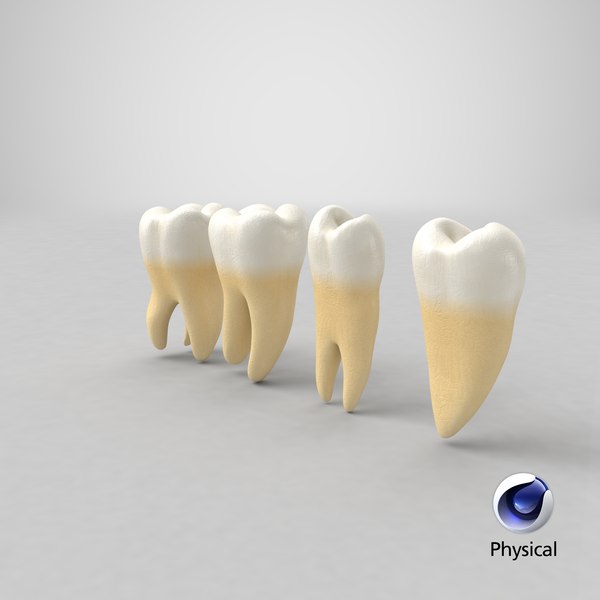 Realistic teeth model - TurboSquid 1628350