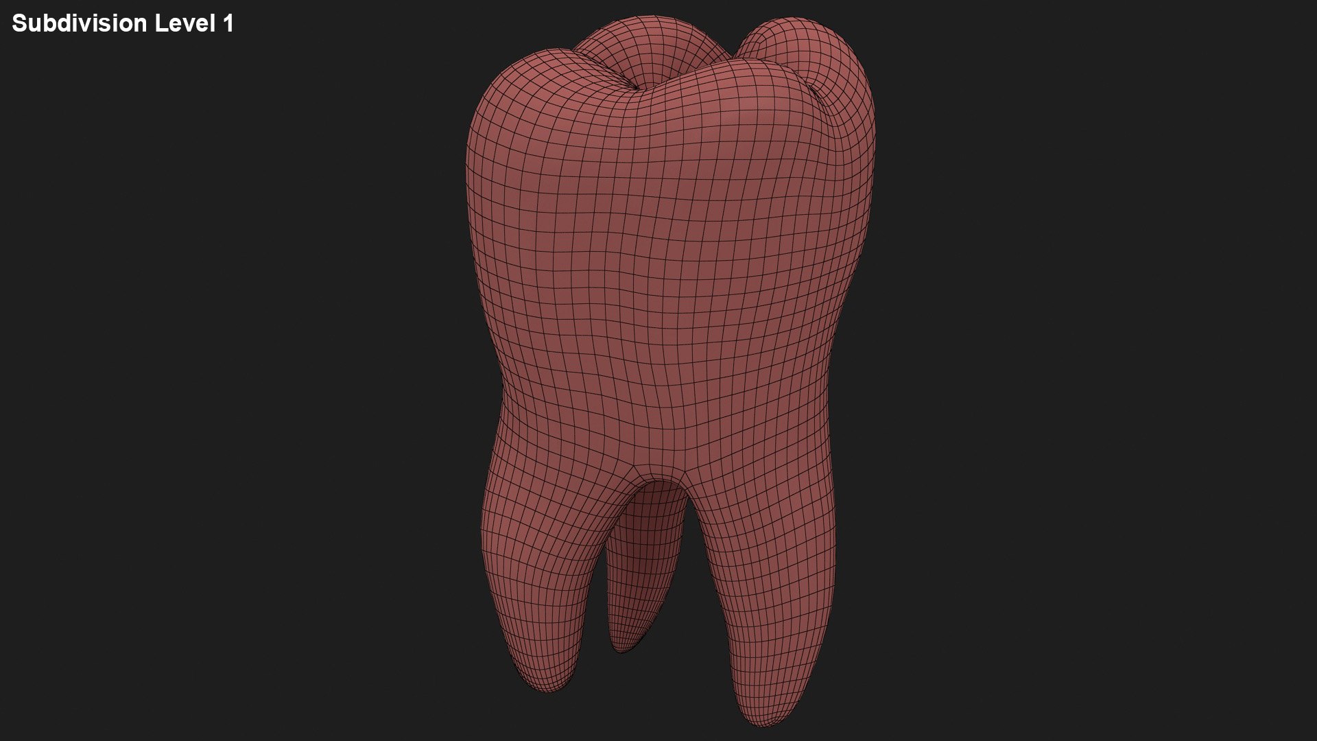 Realistic teeth model - TurboSquid 1628350