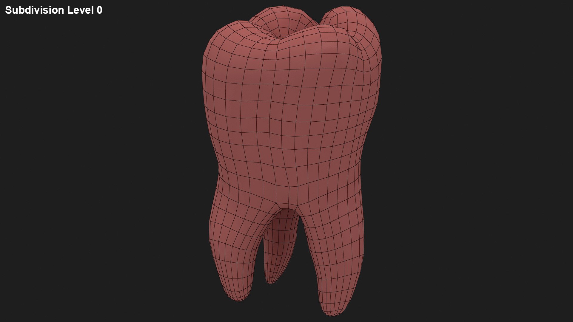 Realistic teeth model - TurboSquid 1628350