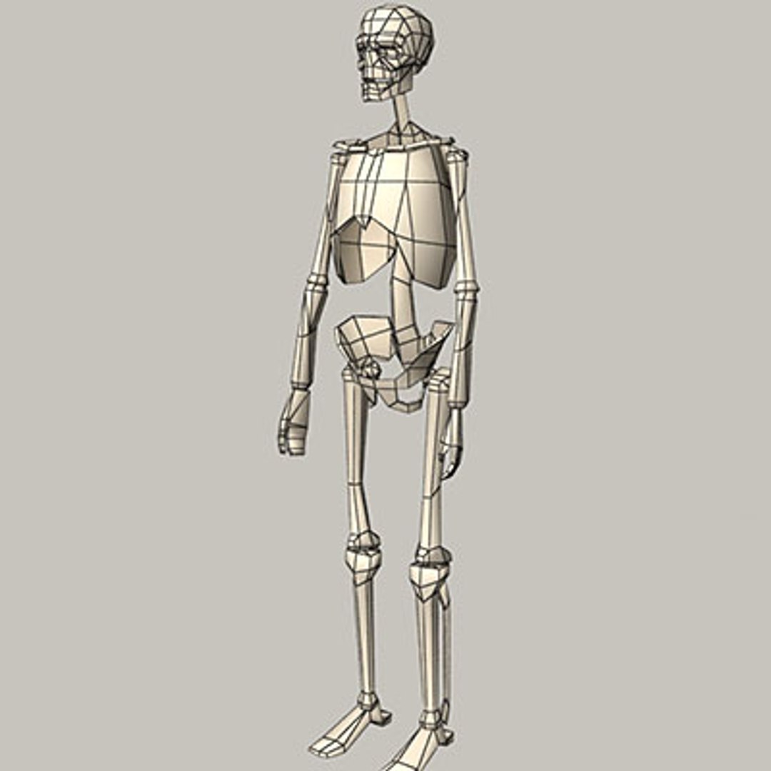Skeleton 3dsmax7 3d Model