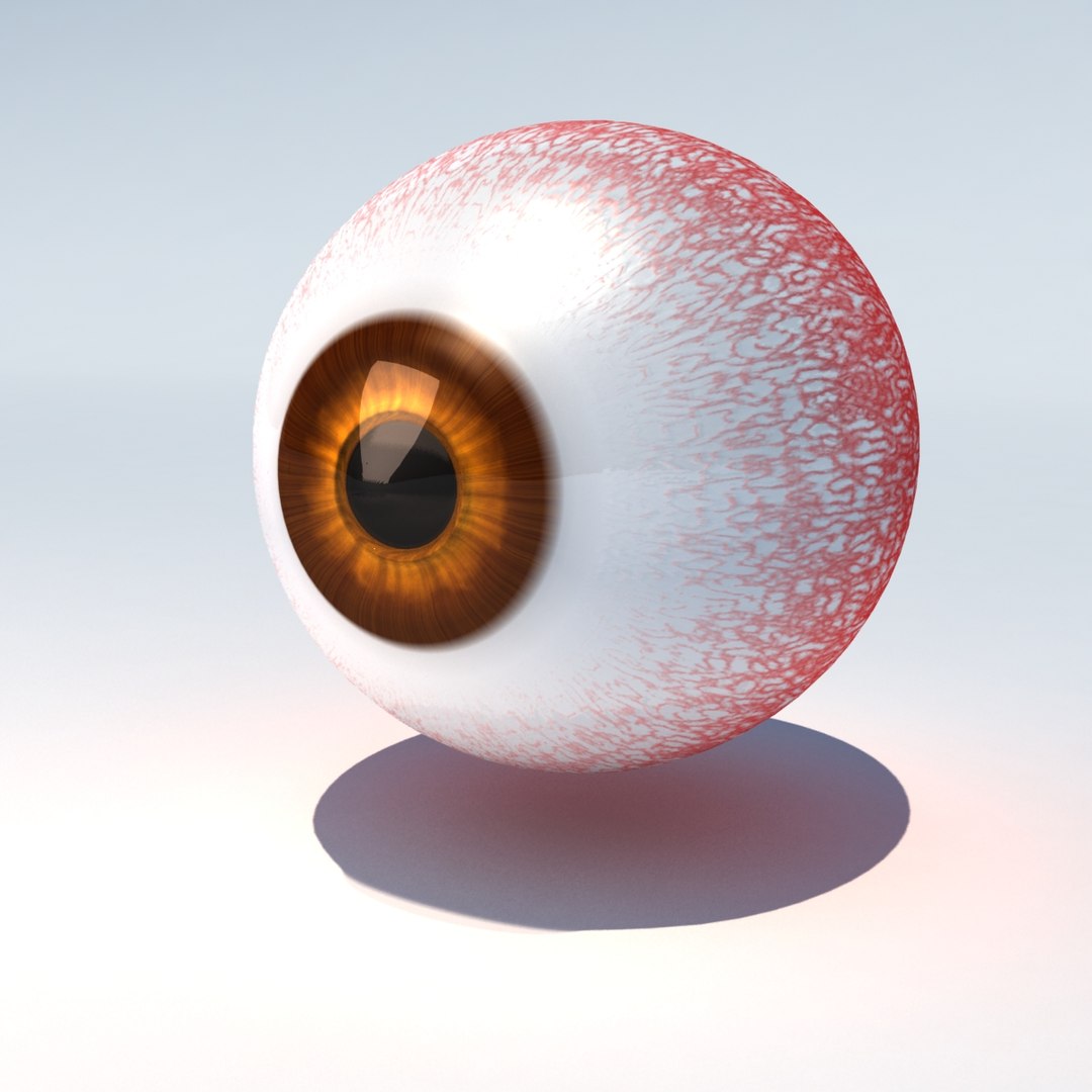 3d Model Of Human Eye Animate
