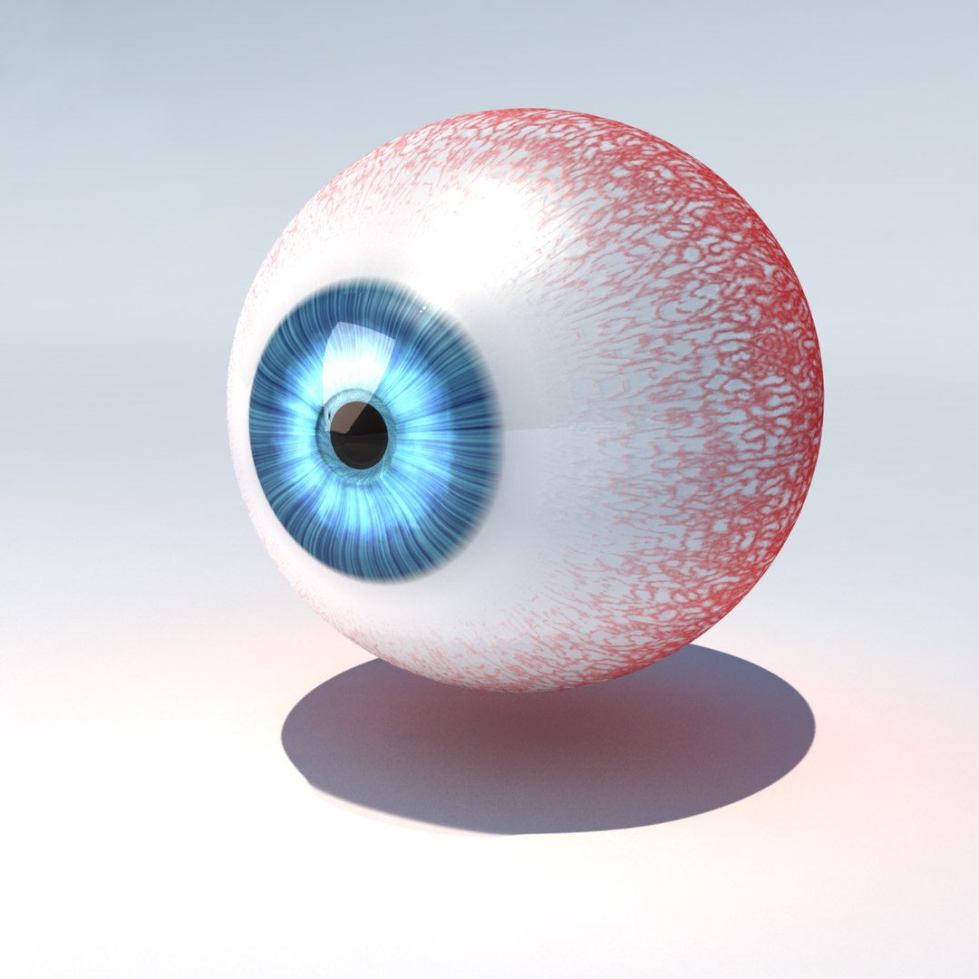 3d Model Of Human Eye Animate