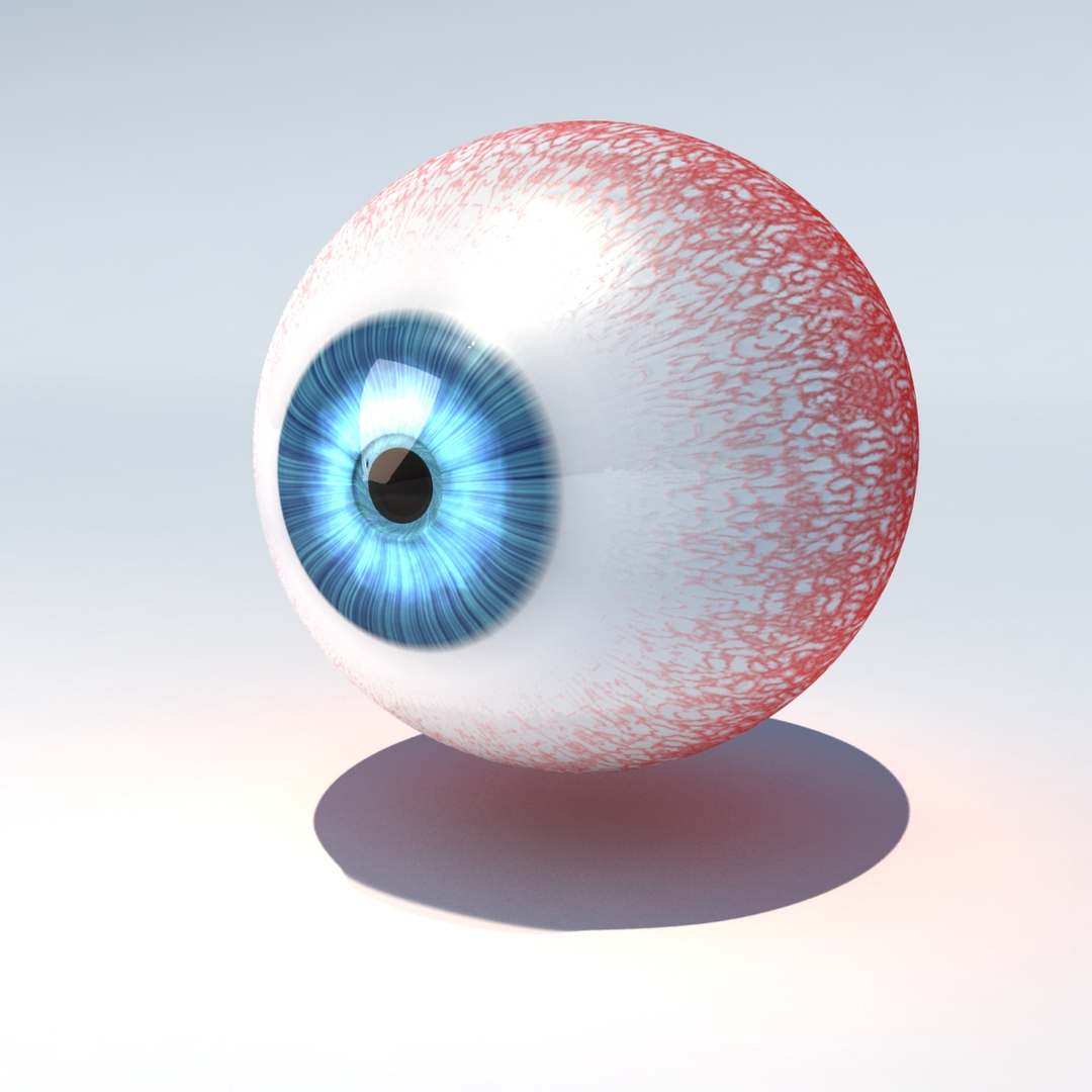 3d Model Of Human Eye Animate