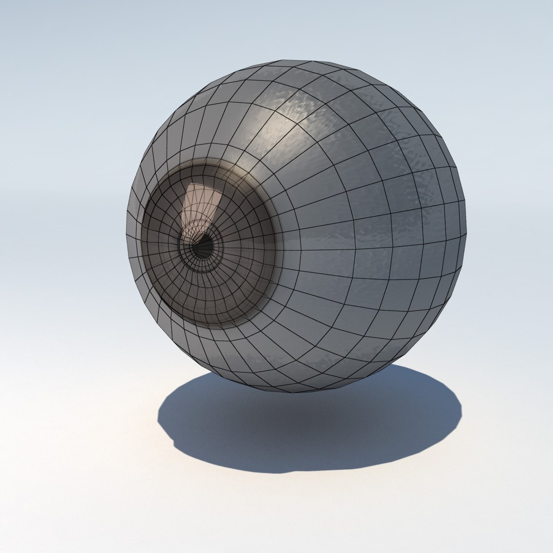 3d Model Of Human Eye Animate