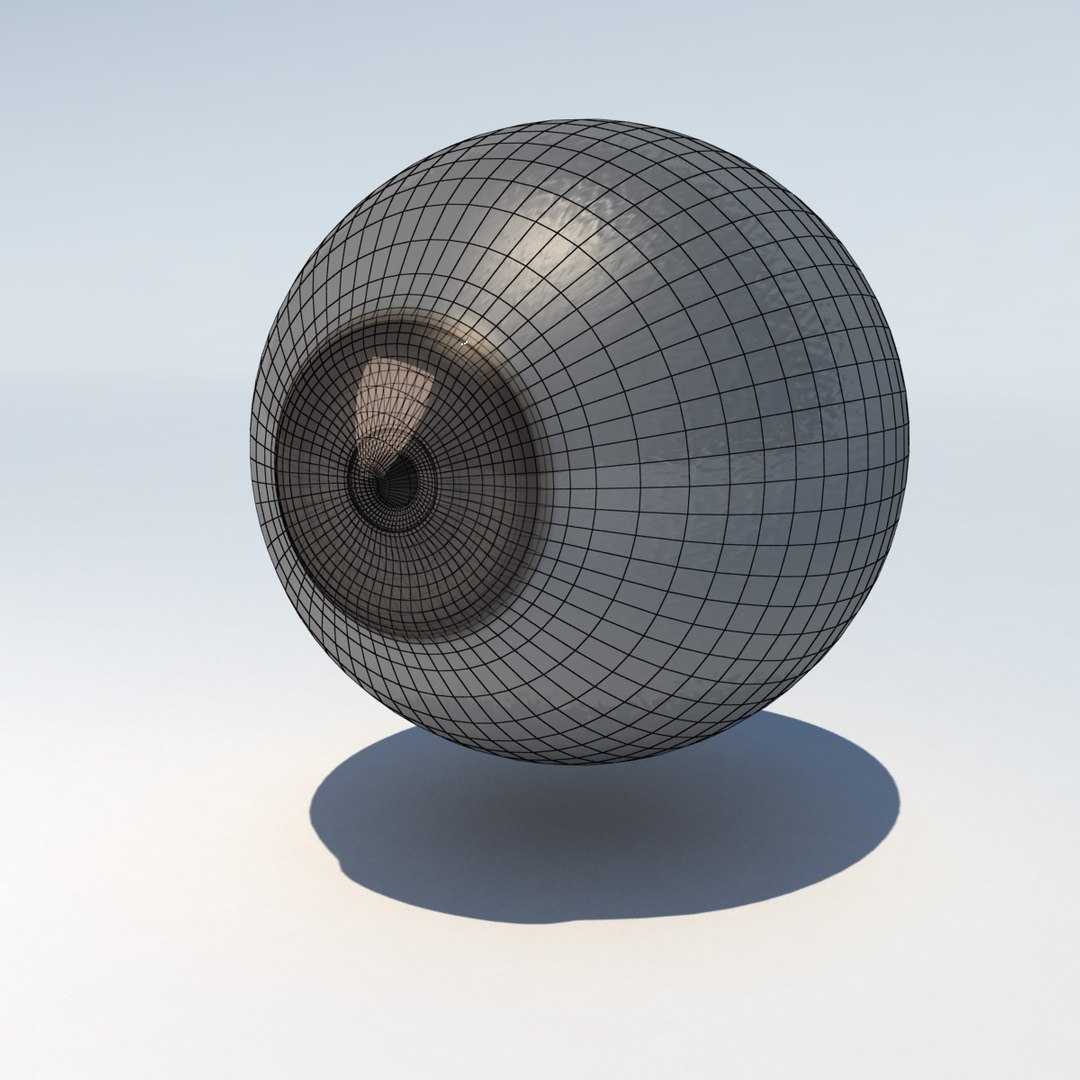 3d Model Of Human Eye Animate