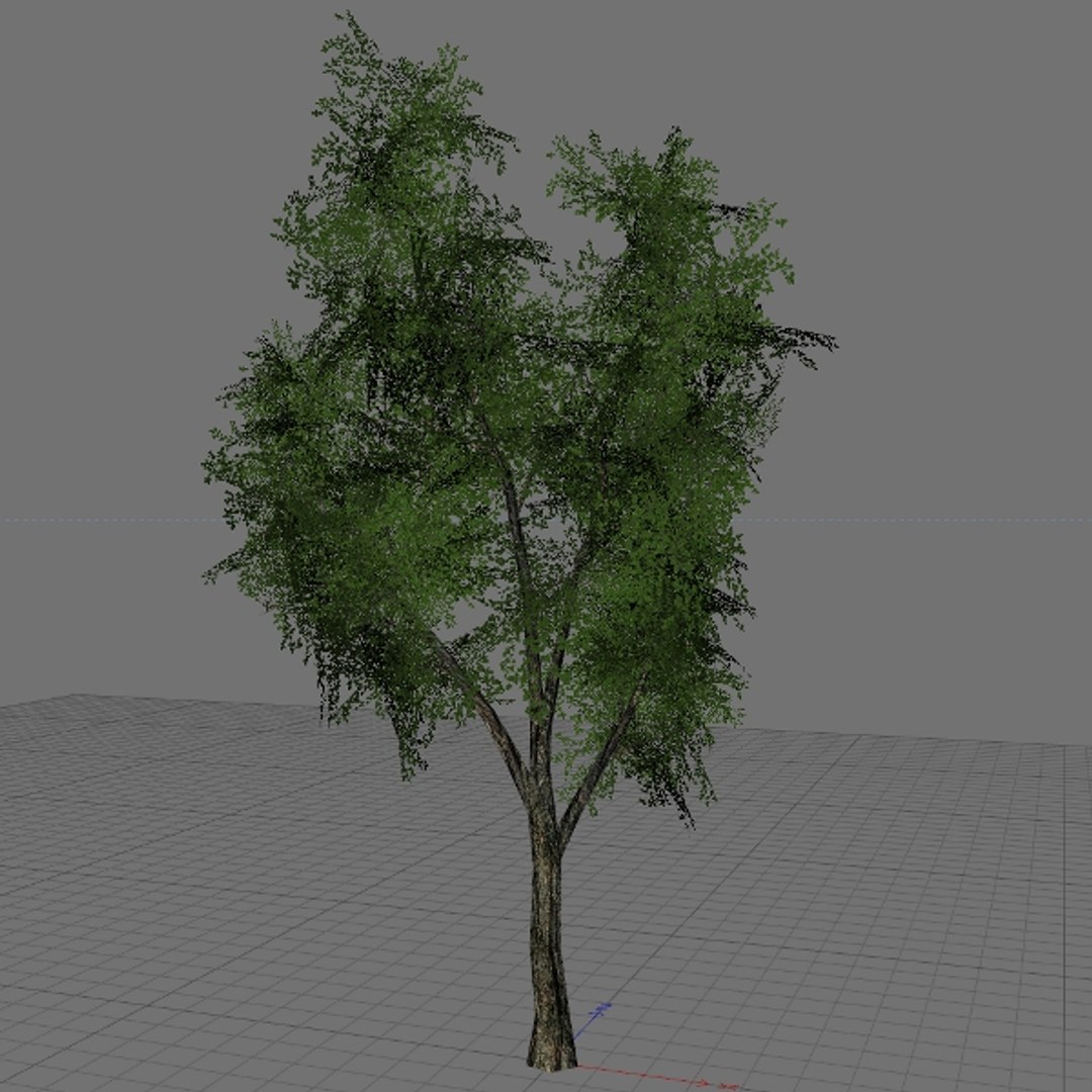 trees c4d