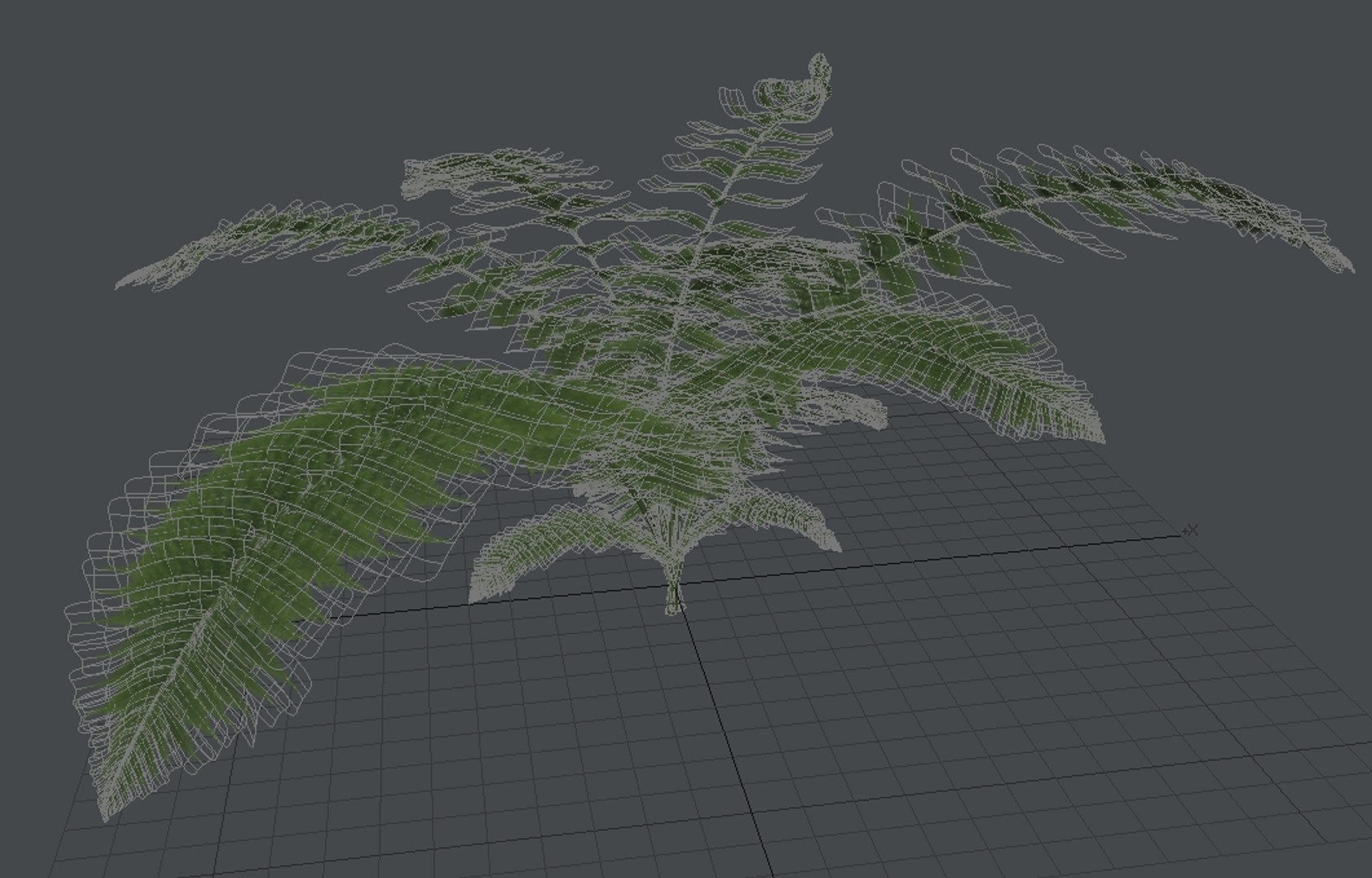 fern 3d model
