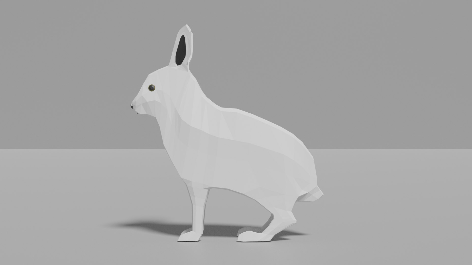 3D Polar Hare - TurboSquid 1634845