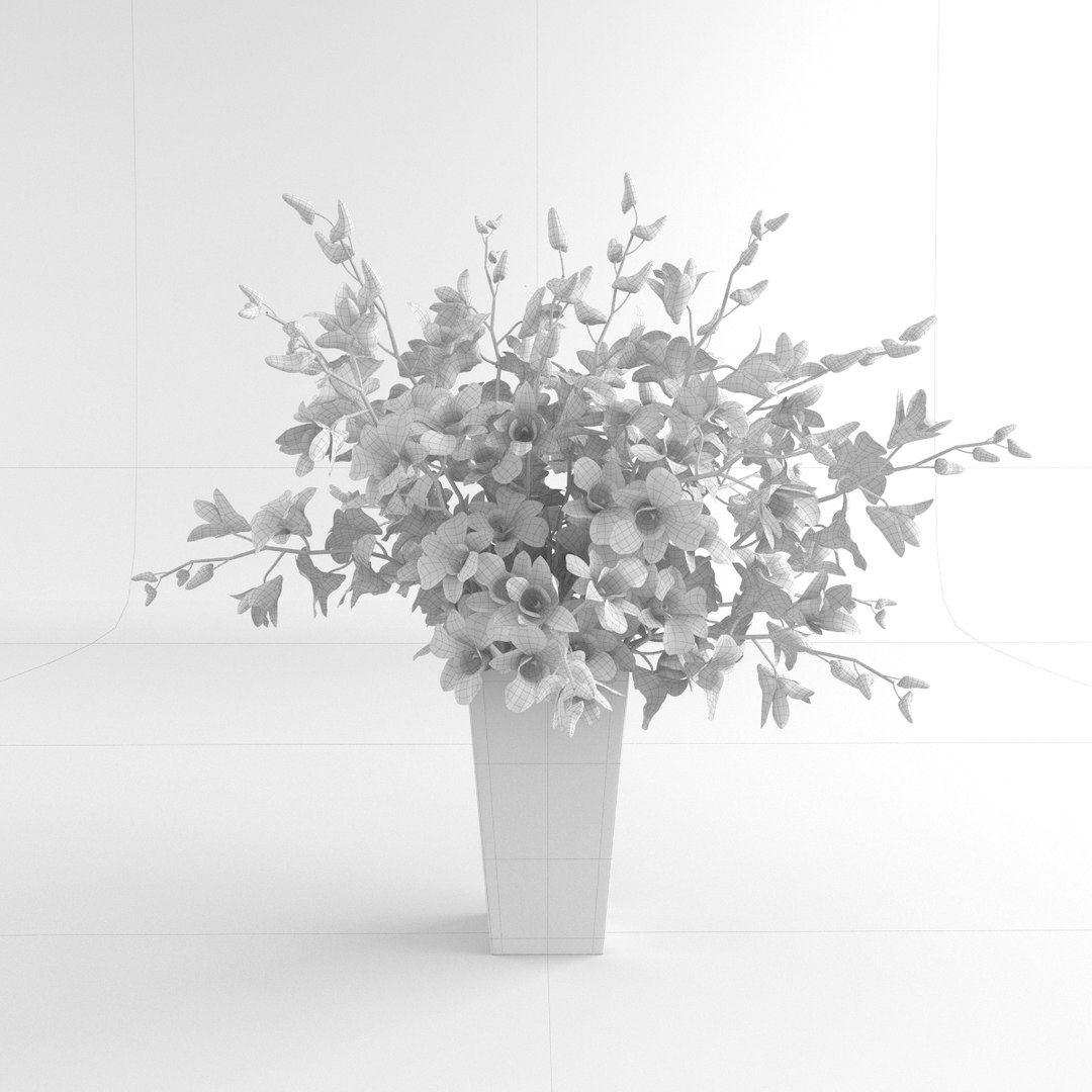 3d Orchid Flower White Model
