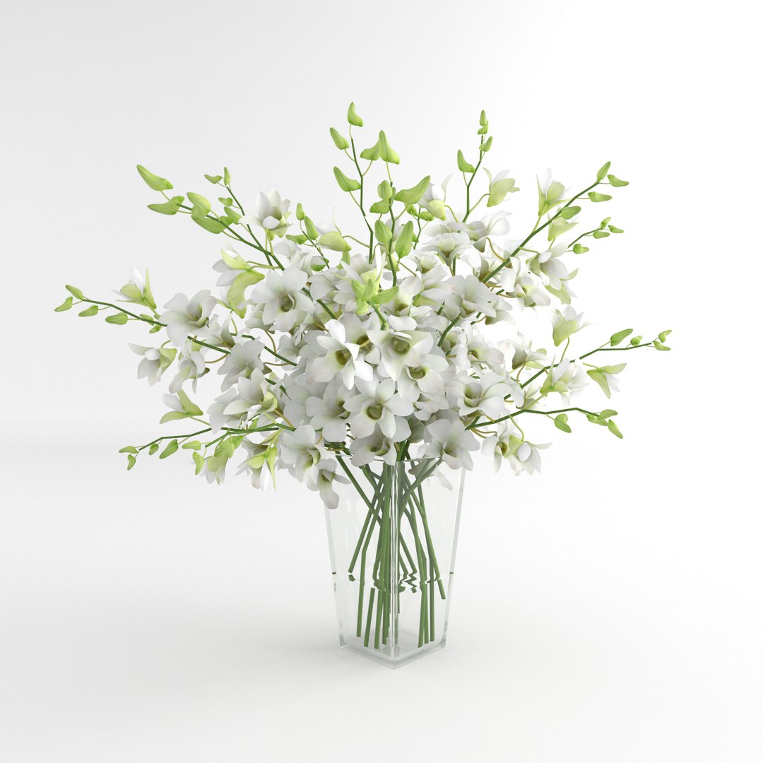 3d Orchid Flower White Model
