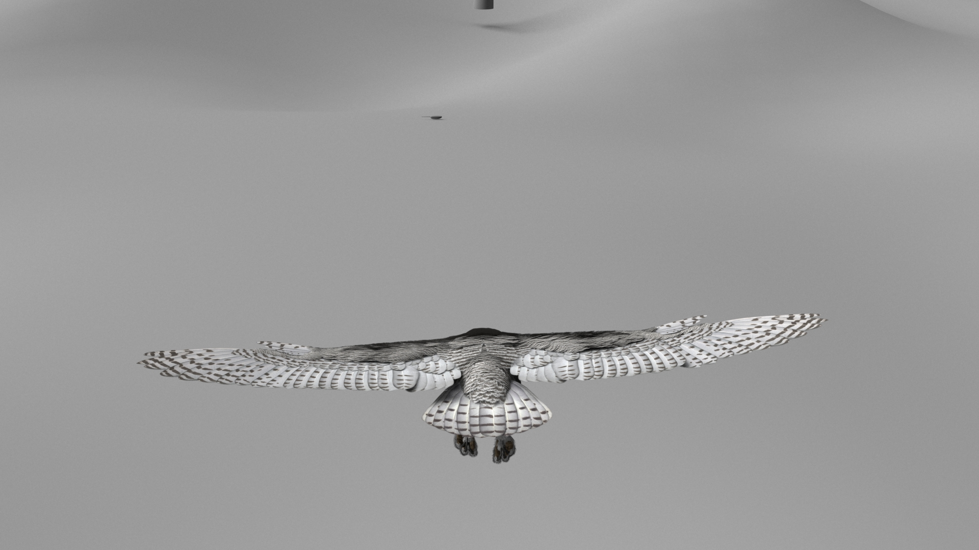 Snowy owl animation model - TurboSquid 1491002