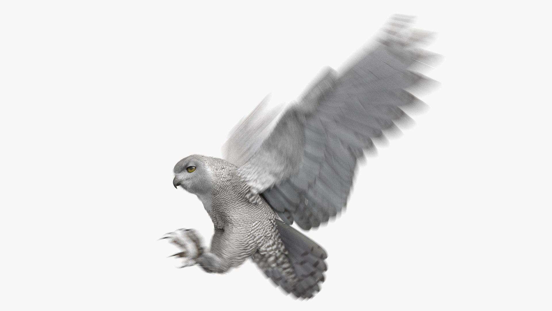 Snowy owl animation model - TurboSquid 1491002