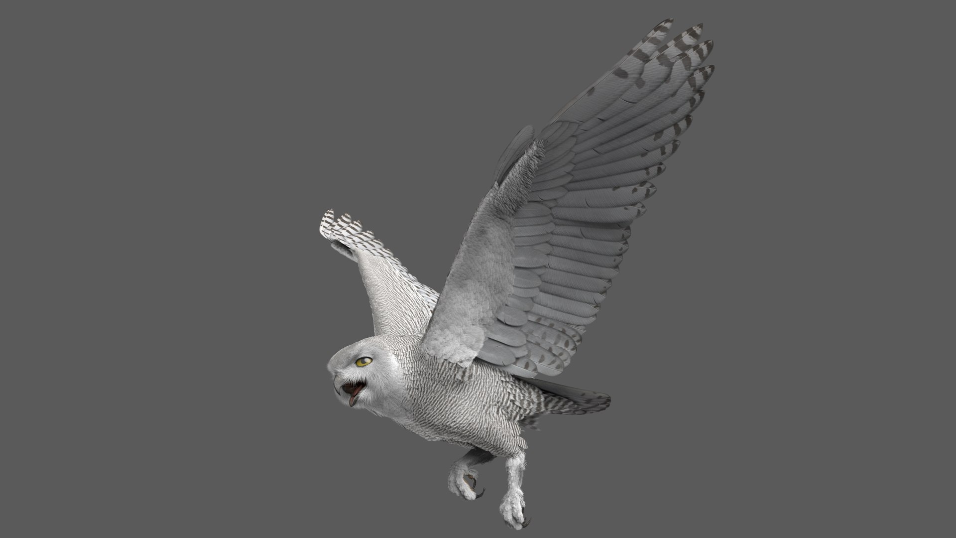 Snowy owl animation model - TurboSquid 1491002