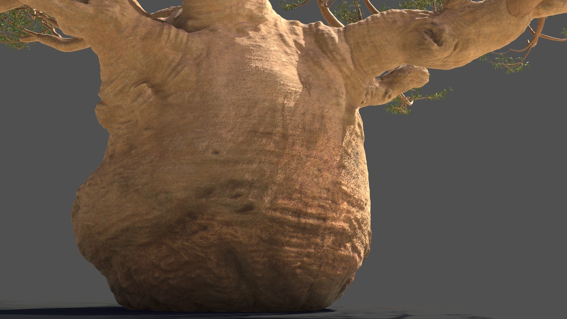 3D Baobab Tree Model - TurboSquid 2213720