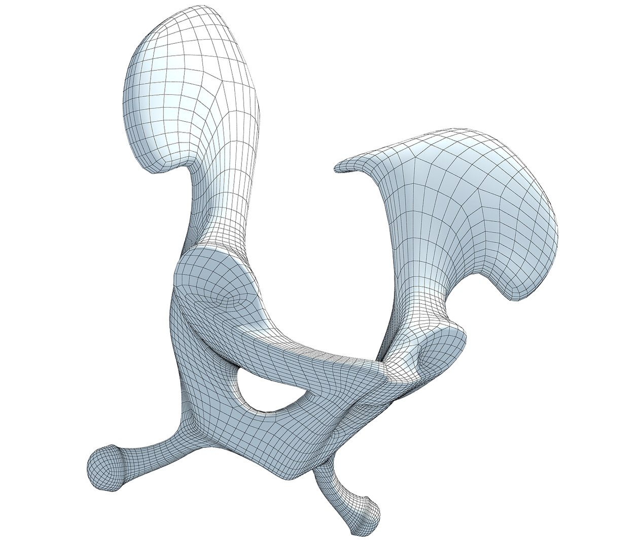 Animal Pelvis 3D Model - TurboSquid 1177966