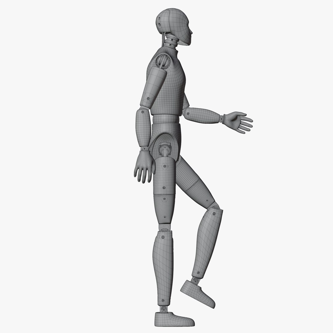 3D Rigged Crash Test Male Dummy - TurboSquid 2197286