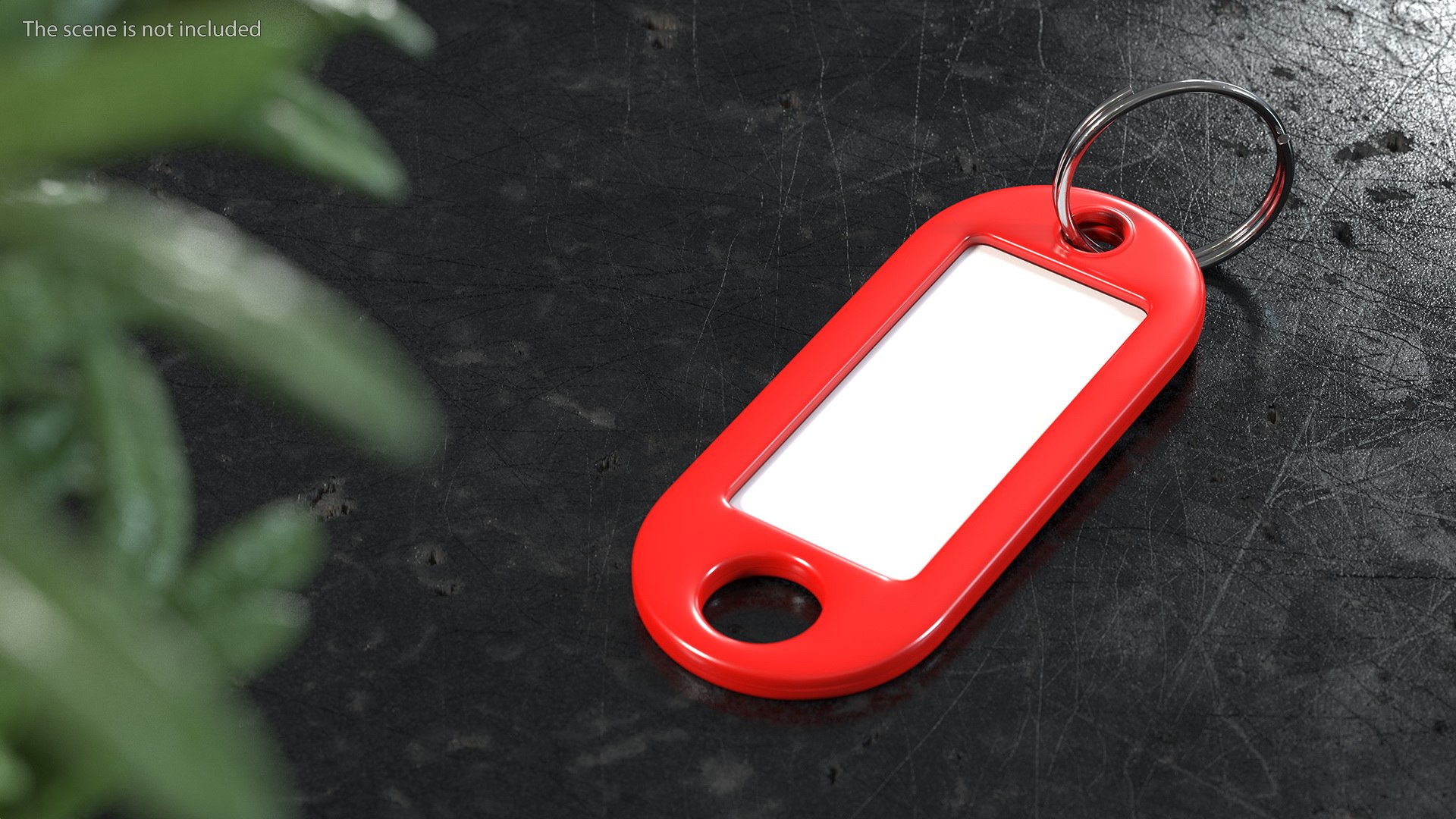 3D Plastic Key Tag With Split Ring Model - TurboSquid 1781636