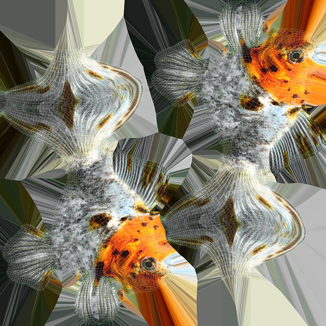 Calico Goldfish Collection 3D Model - TurboSquid 2299631
