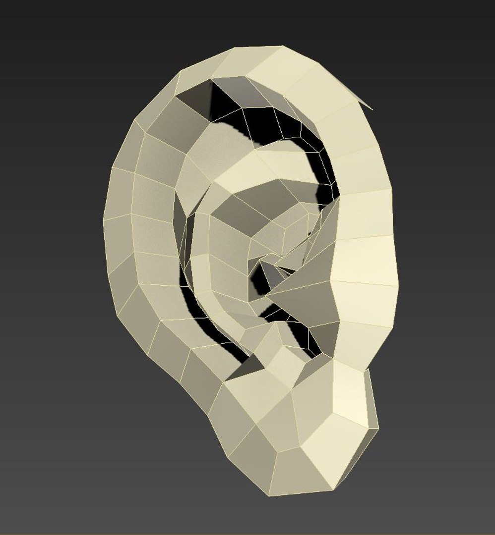 Free Ear Head 3d Model