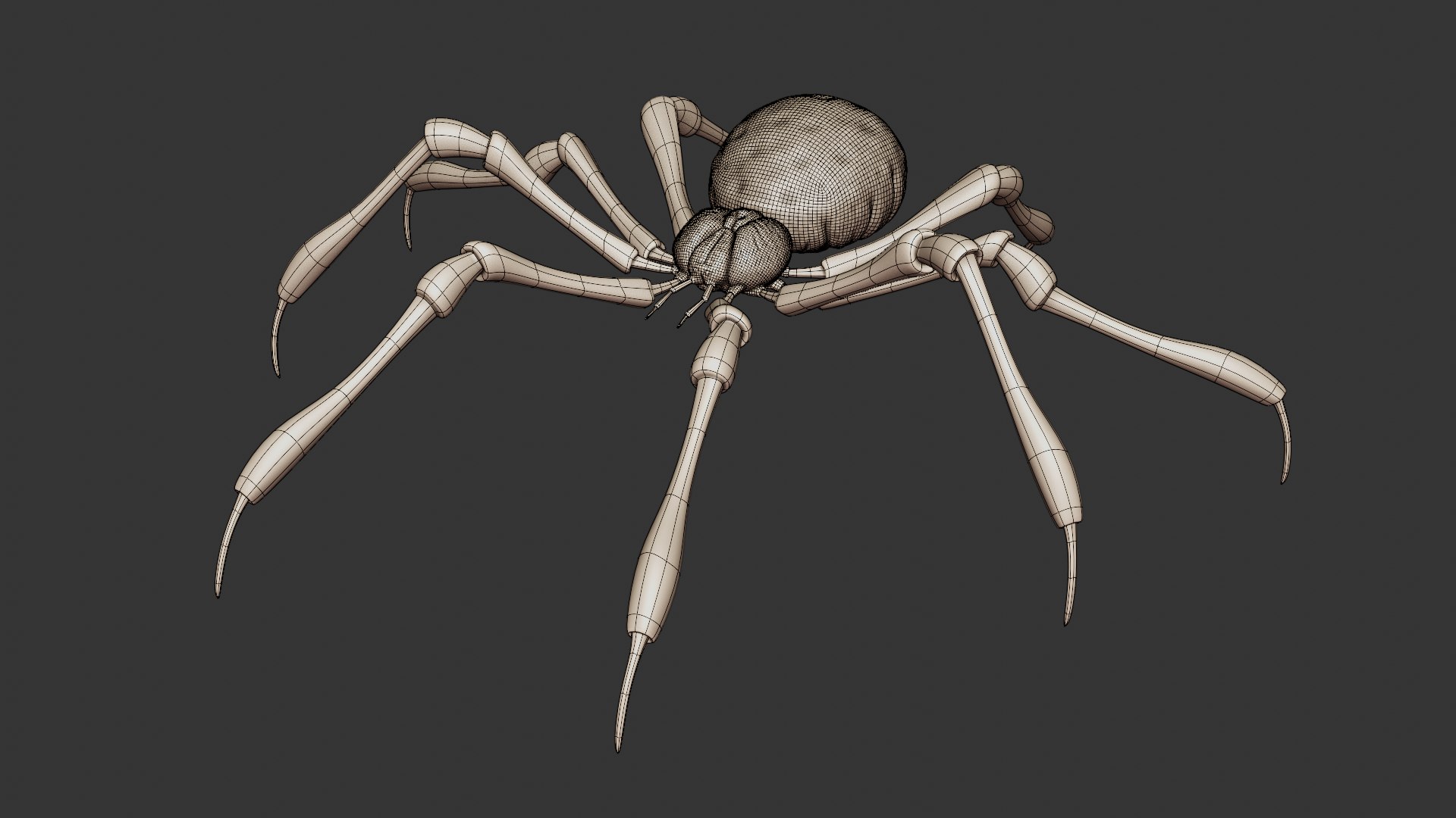 High Detailed Realistic Spider For 3D Printing 3D Model - TurboSquid ...