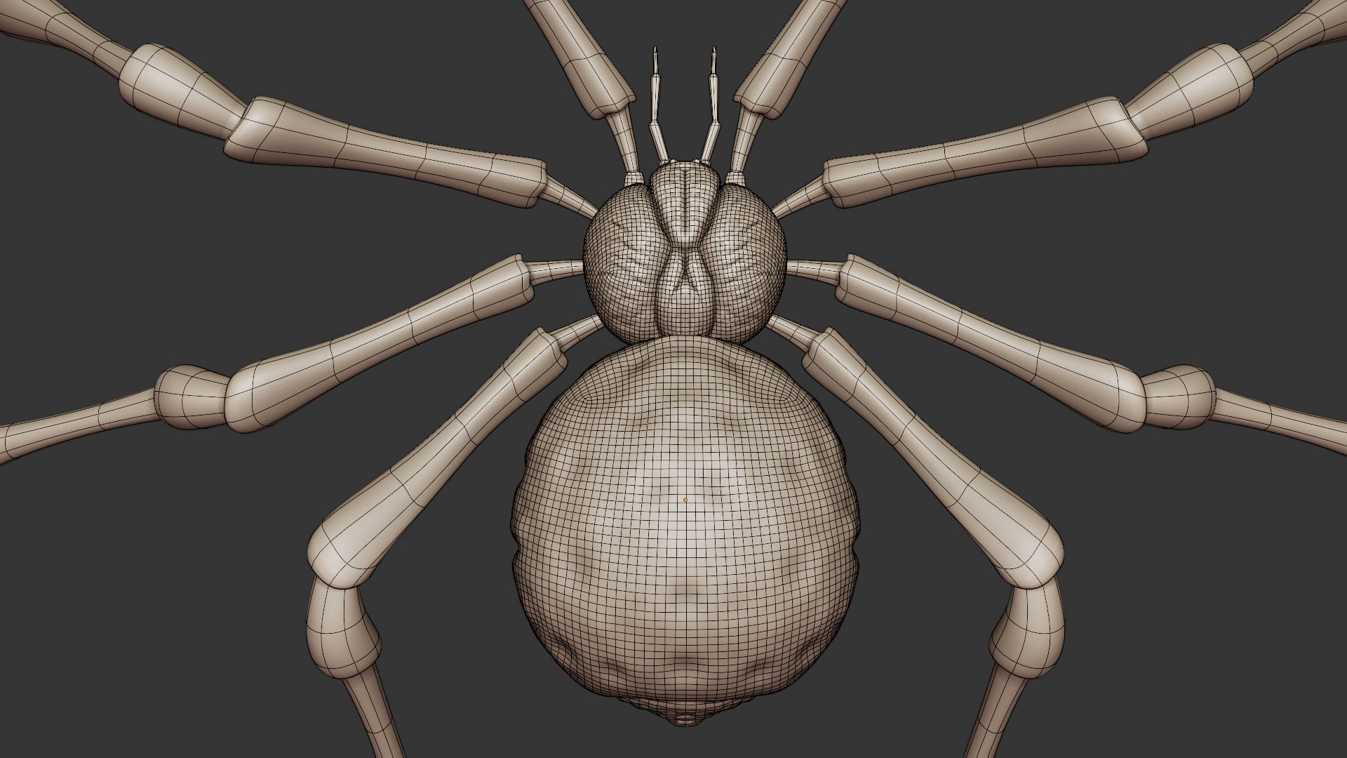 High Detailed Realistic Spider For 3D Printing 3D Model - TurboSquid ...