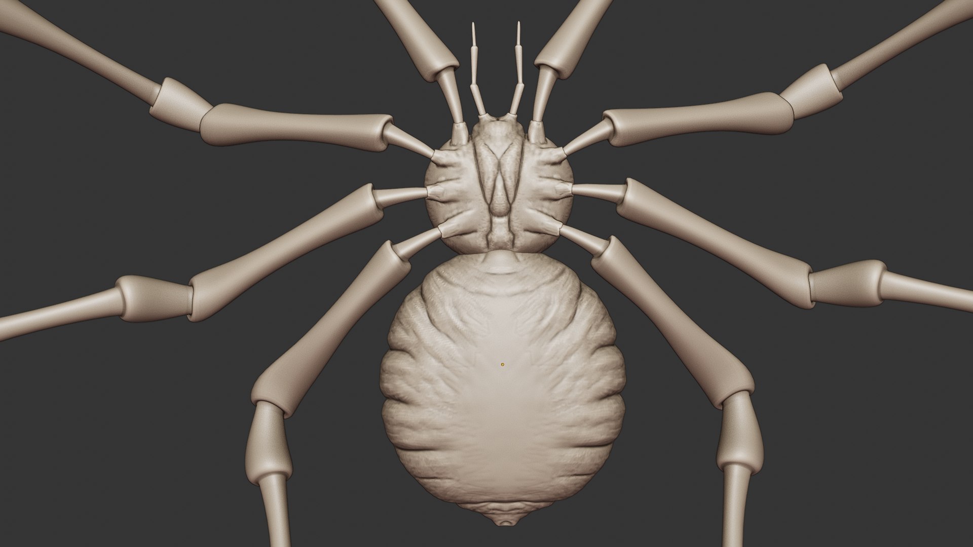 High Detailed Realistic Spider For 3D Printing 3D Model - TurboSquid ...