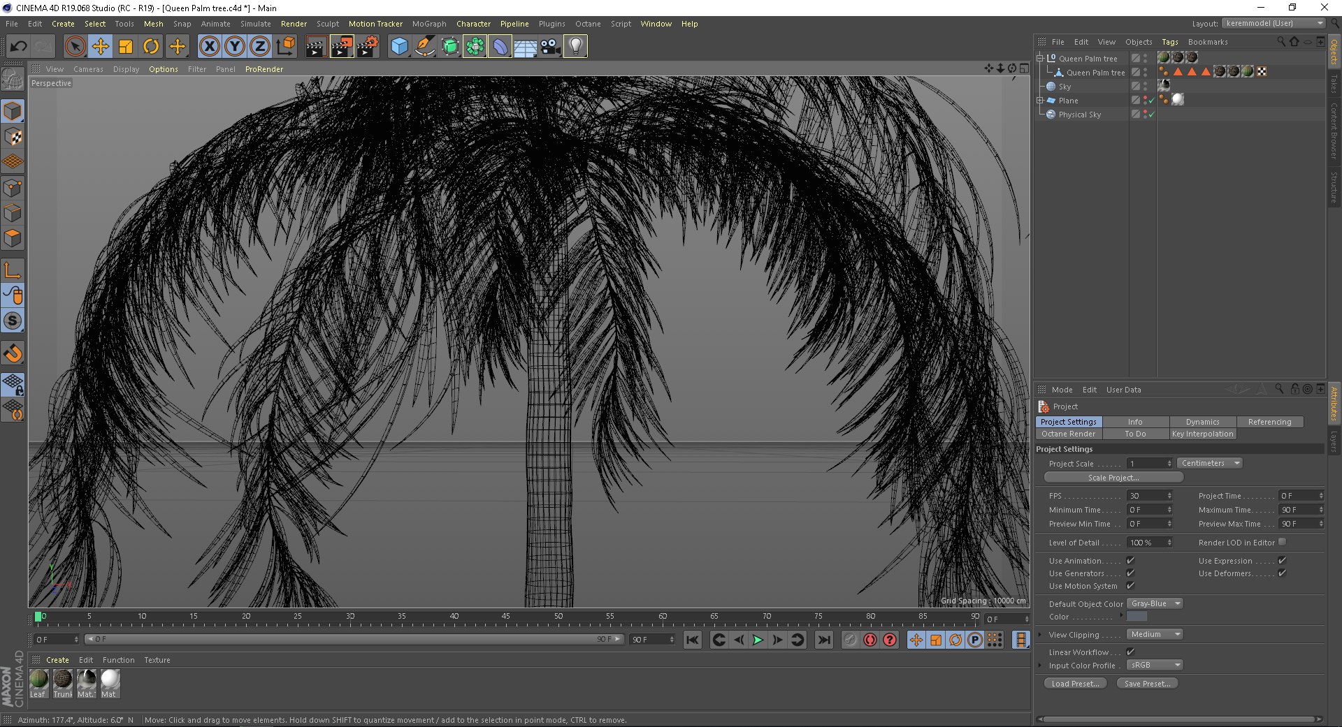 Queen Palm Tree 3D - TurboSquid 1401120
