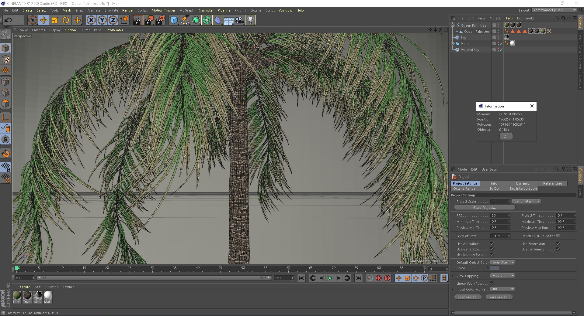 Queen Palm Tree 3D - TurboSquid 1401120