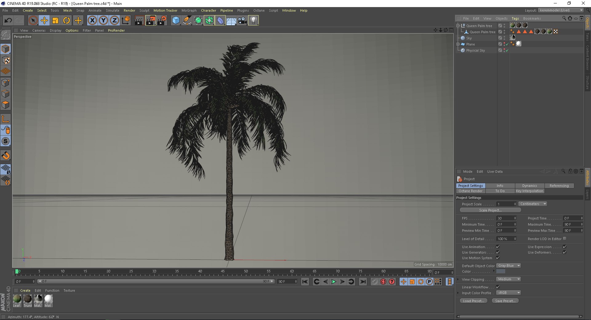 Queen Palm Tree 3D - TurboSquid 1401120