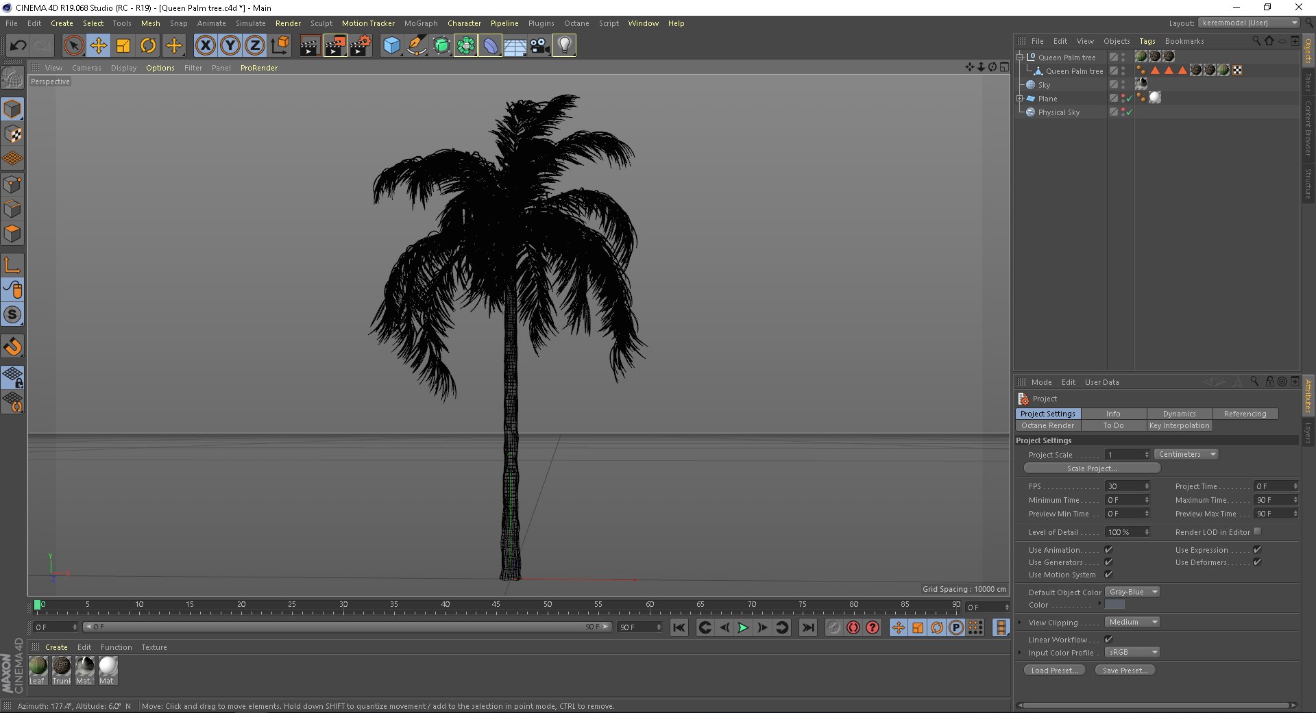 Queen Palm Tree 3D - TurboSquid 1401120