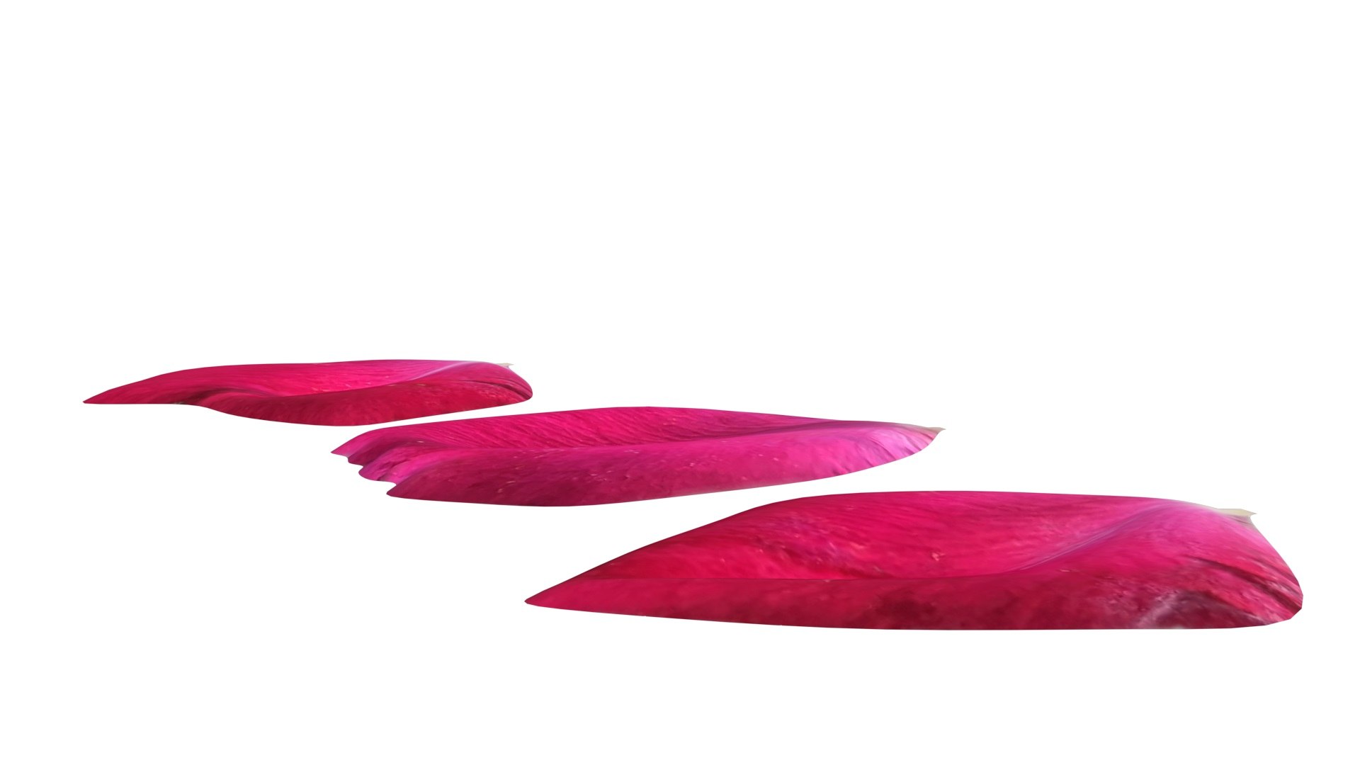 3D Rose Petals - TurboSquid 2119782