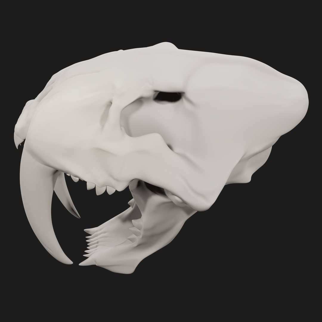 Smilodon Skull Model - TurboSquid 1893459