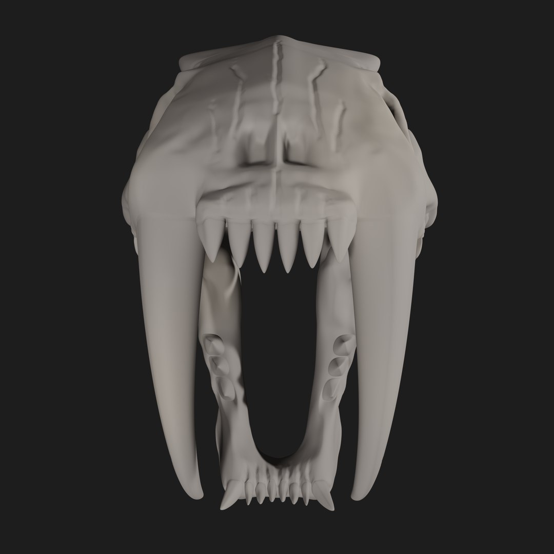 Smilodon Skull Model - TurboSquid 1893459