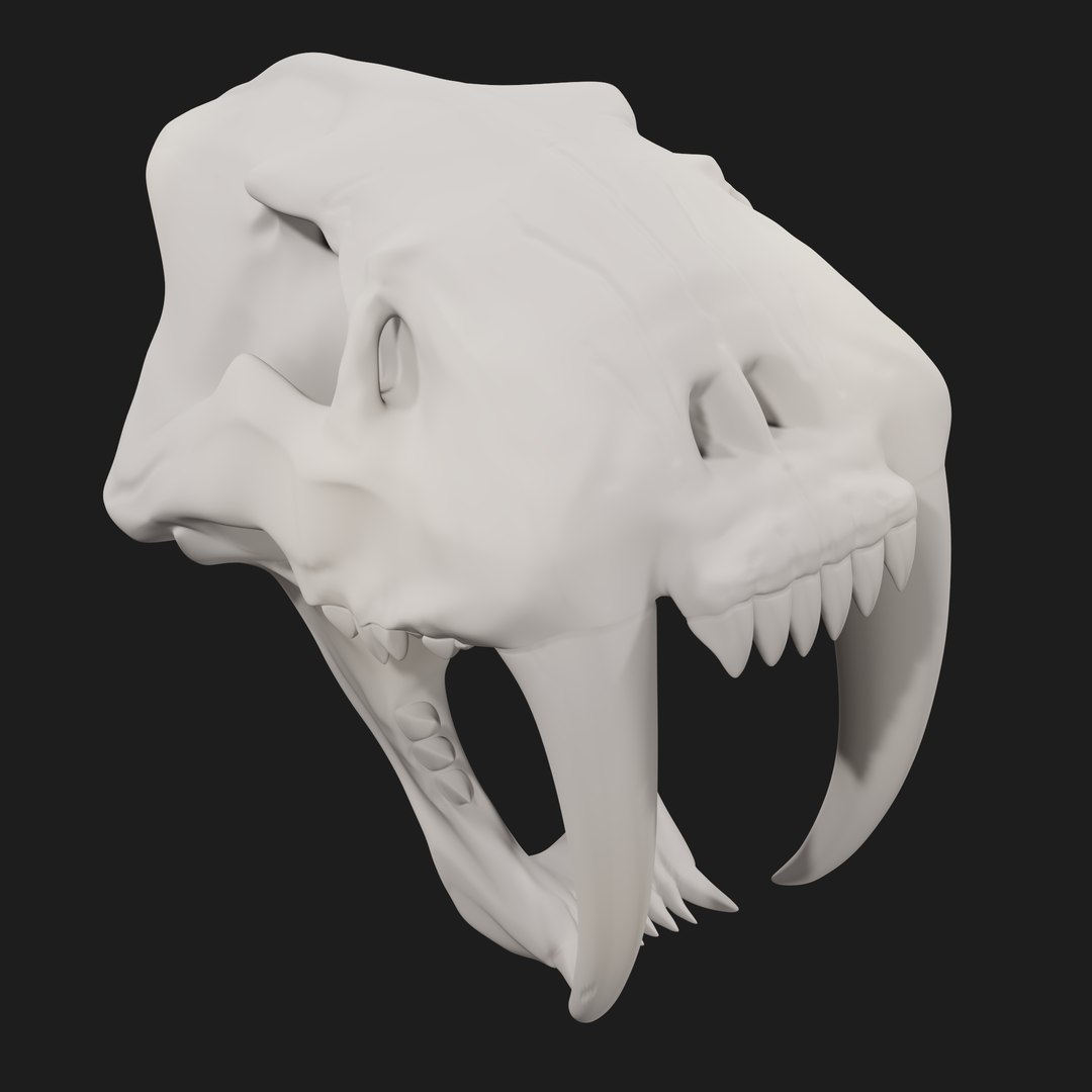 Smilodon Skull Model - TurboSquid 1893459