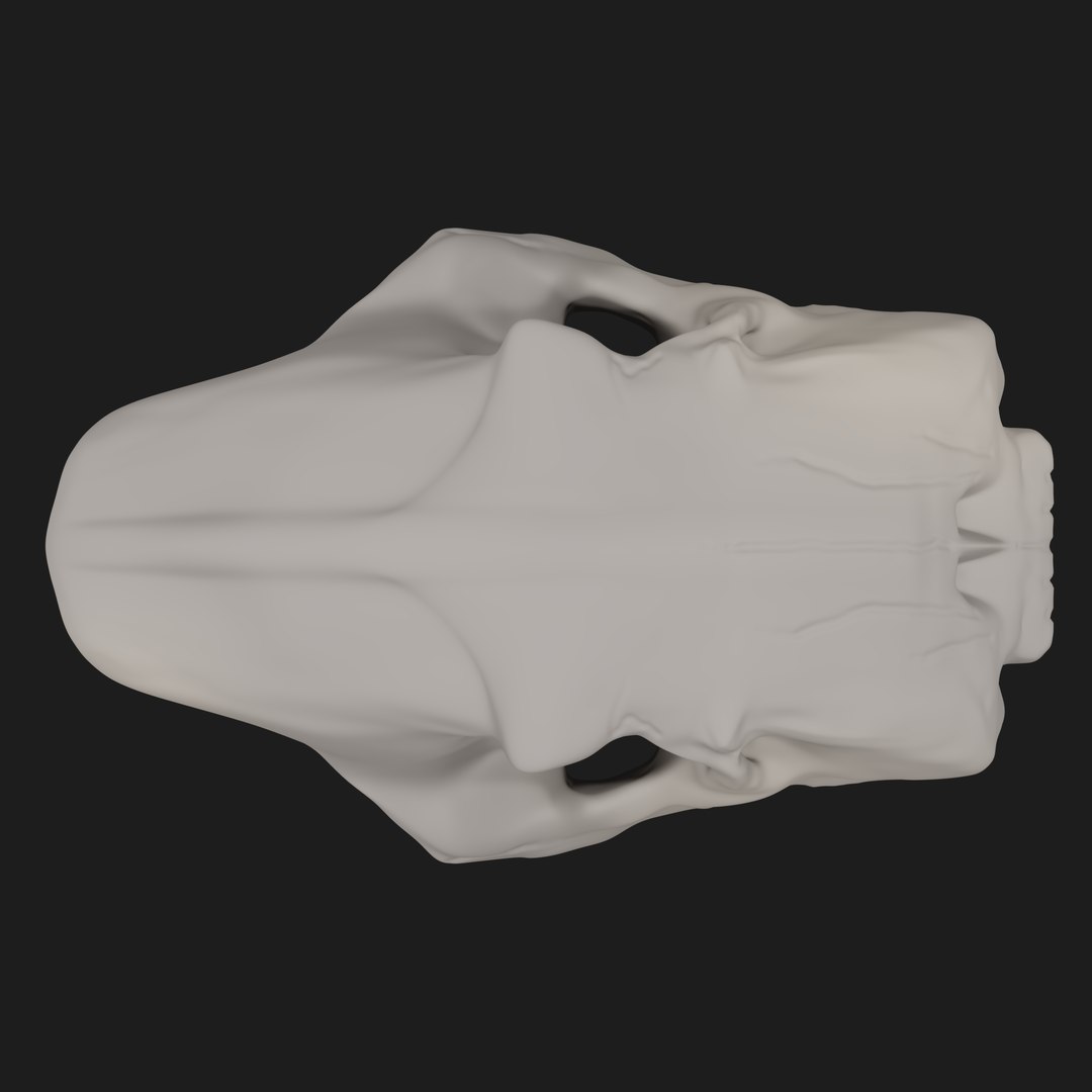 Smilodon Skull Model - TurboSquid 1893459