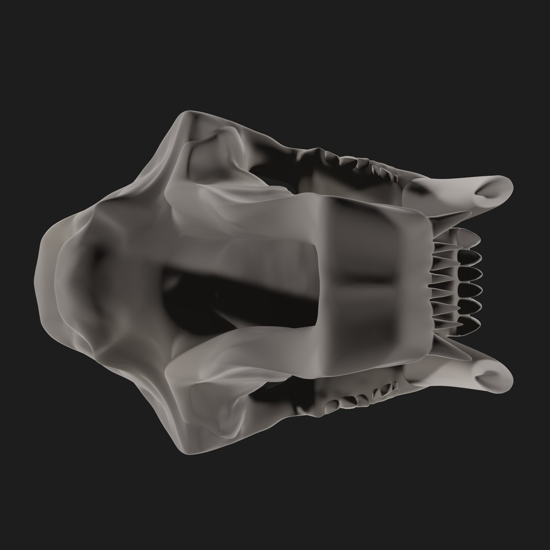 Smilodon Skull Model - TurboSquid 1893459