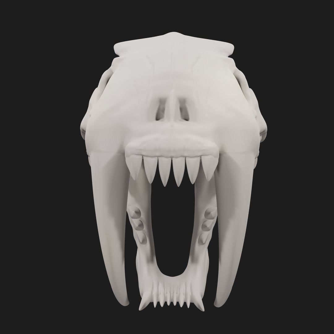 Smilodon Skull Model - TurboSquid 1893459