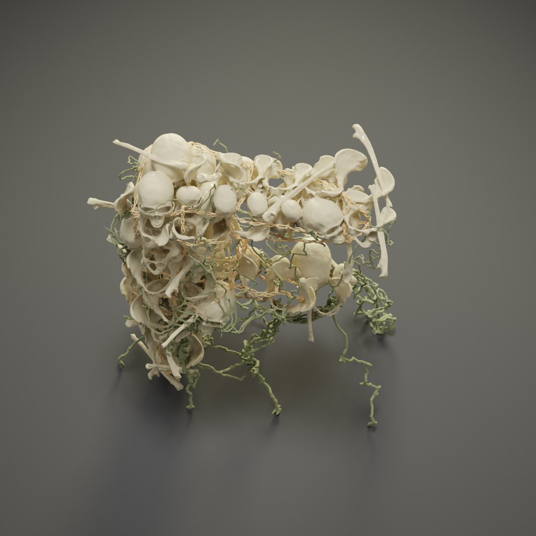 3D letter f bones skeleton - TurboSquid 1546115