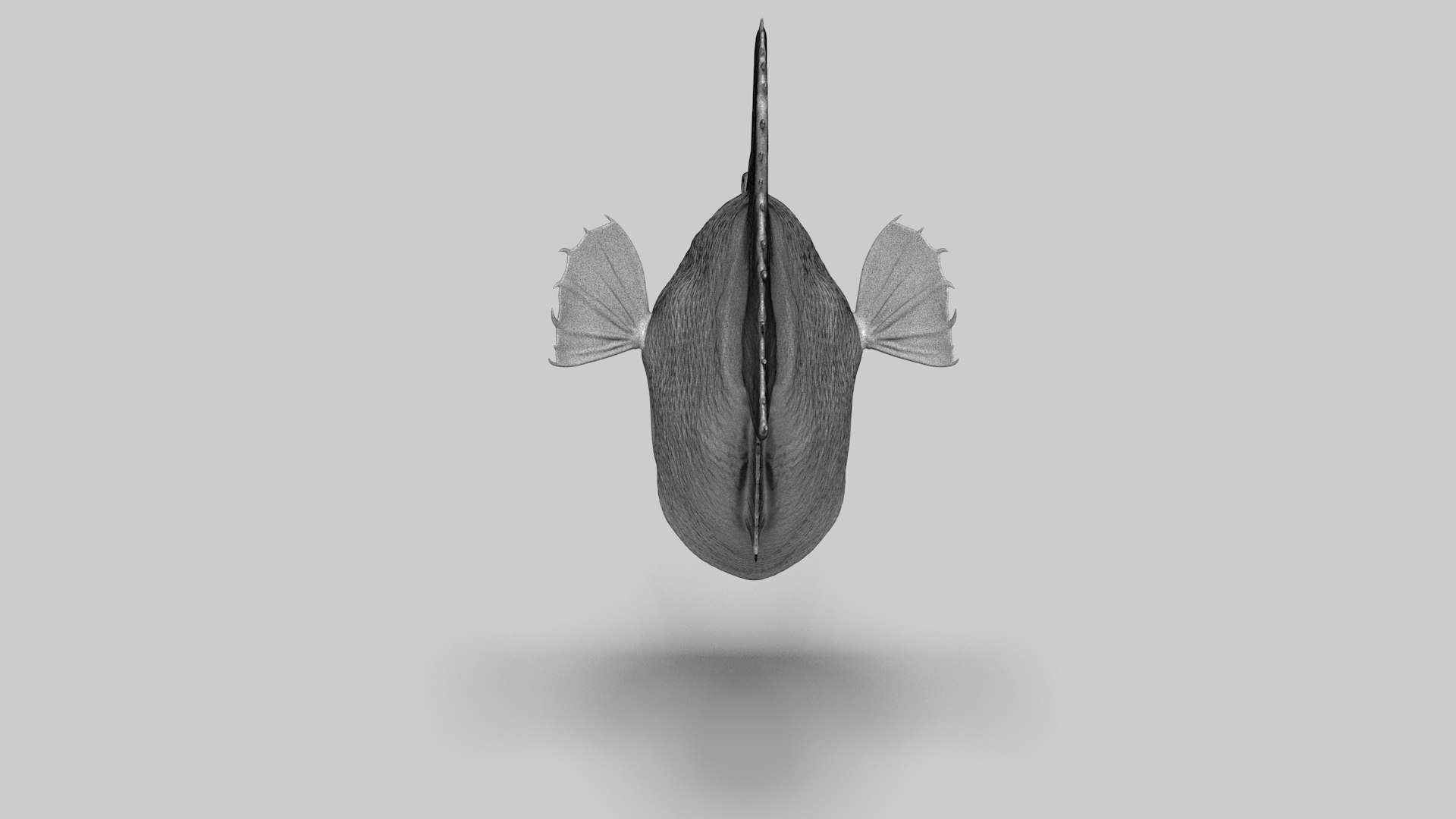 3D Deep Sea Fish - TurboSquid 2126100
