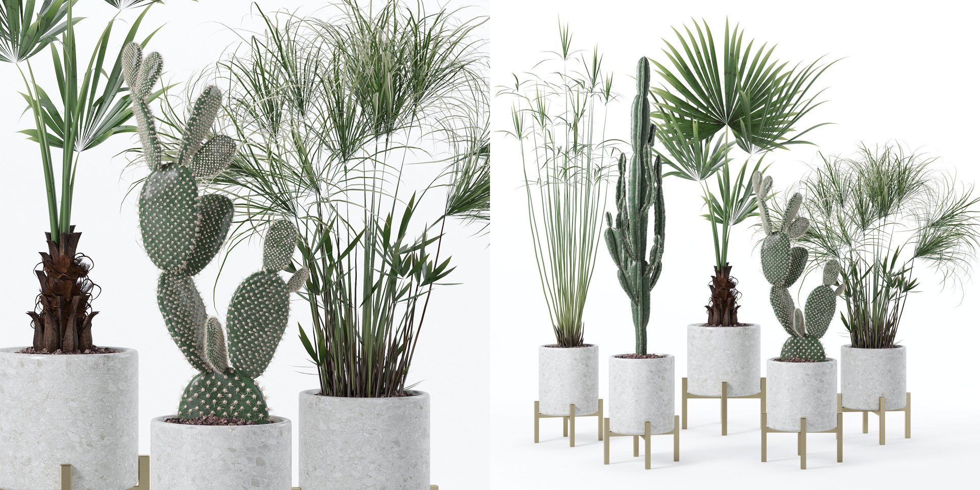 3D model Plants collection 123 - TurboSquid 1958909