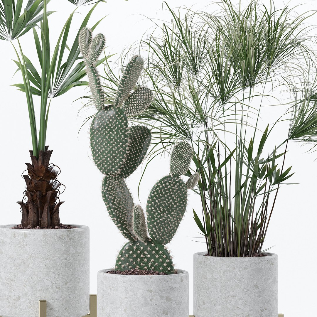 3D model Plants collection 123 - TurboSquid 1958909