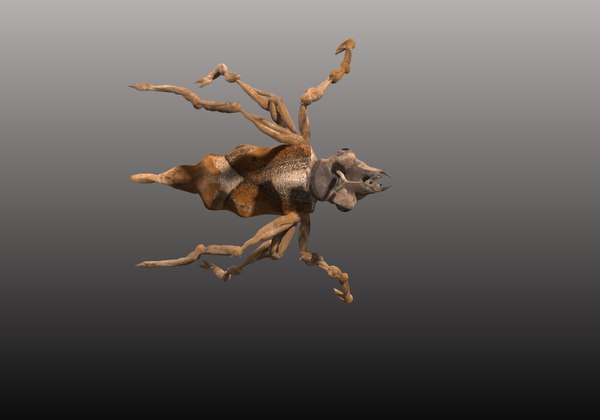 Free Insect 3D Models for Download | TurboSquid