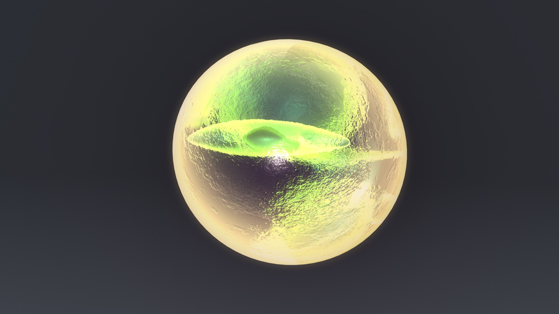 nosema bombycis 3d model