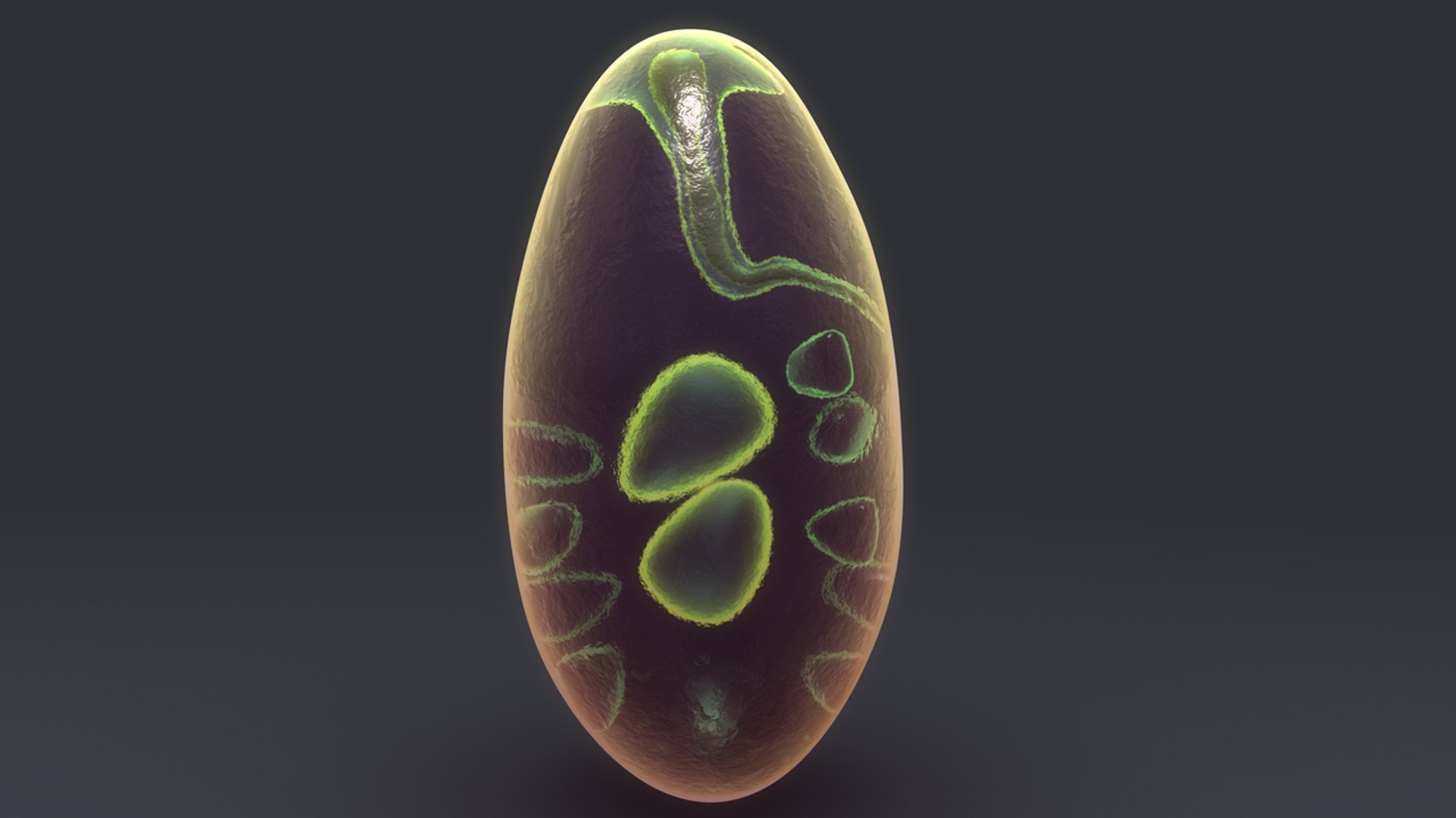 nosema bombycis 3d model