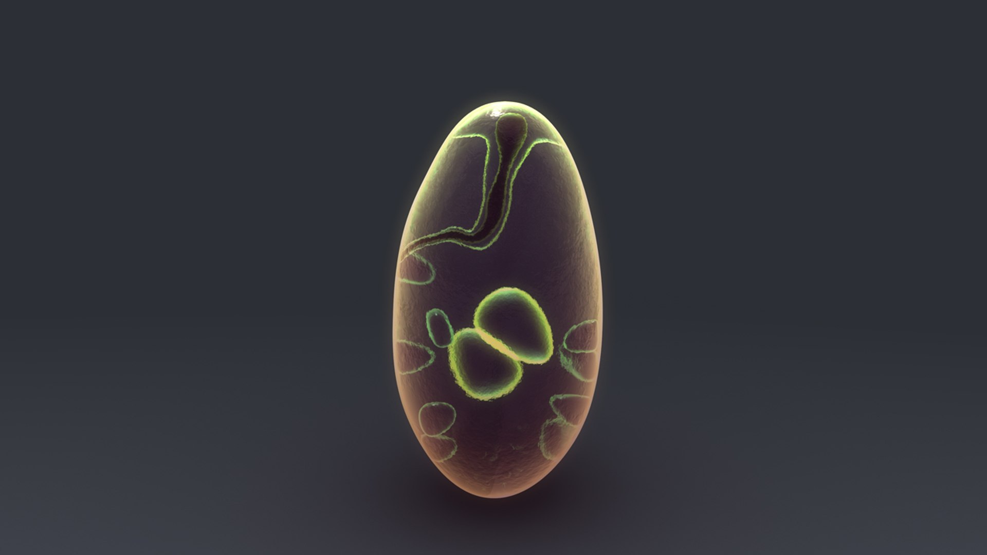 nosema bombycis 3d model