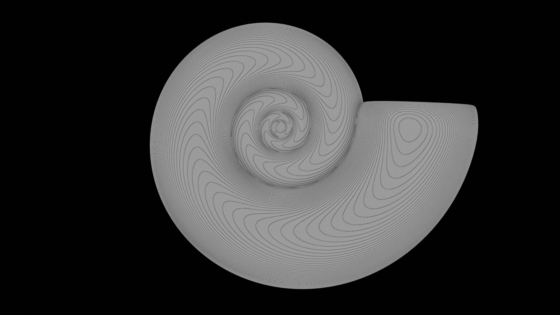 Ammonoid Shell Subevolute And Compressed Cantabricanites 3D Model ...