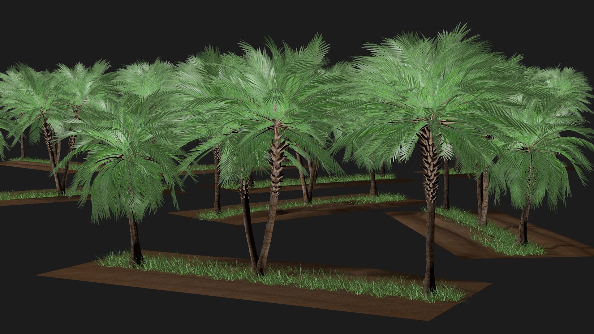 Three palms set model - TurboSquid 1775627
